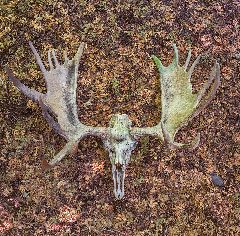 Alain Briot Fine Art Photography